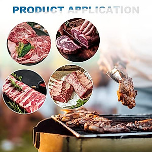 Electric Meat Injector Gun Pump with Hose, 70W Automatic Marinade Injector Meat Syringe Single Gun with 10 Stainless Steel Needle for Roast Turkey, Pork, Beef