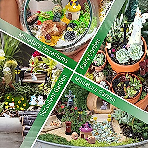 Dracarys Selected 100 Pieces Fairy Garden Accessories, Fairy Garden Kit, Fairy Garden Animals, Miniature Figurines, Micro Landscape Ornaments Kit, Garden DIY Kit, Environmental Resin