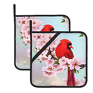 Evava Potholders 2 Pieces Set, Red Cardinal Bird Pink Flowers Hot Pads with Anti-Scald Cotton Infill Material Birds One Size