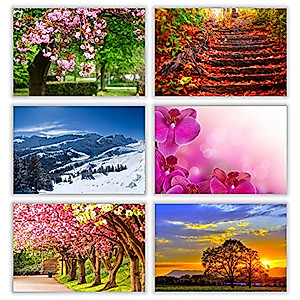 PARTH iMPEX Seasonal Nature Postcards - (Pack of 54) 4"x6" Bulk Variety of Fall Autumn Winter Summer Spring Theme with Mailing Side - all Occasion Cards