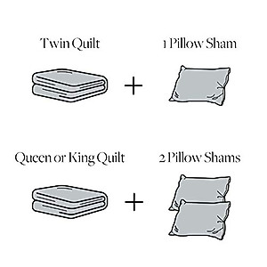 SLPR Silent Reverie 3-Piece Queen Comforter Set (Rustic Quilt with 2 Shams): Lightweight Quilted Bedding, Farmhouse Bed Set Queen Size, White and Tan Country Style Printed Coverlet