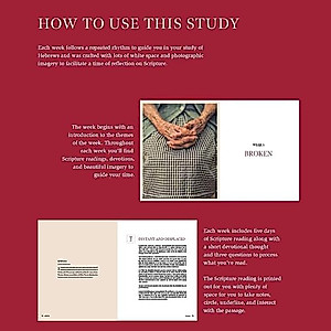 Ruth - Storyteller - Bible Study Book: Faithfulness in Famine