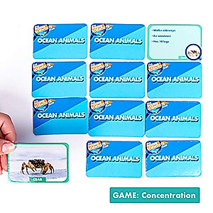The Young Scientist Ocean Animal Card Games, 4 Card Games in 1, Matching, Bingo, Memory, Trivia, Hands-On Educational STEM Fun for Age 5 and Up, Kids Card Games