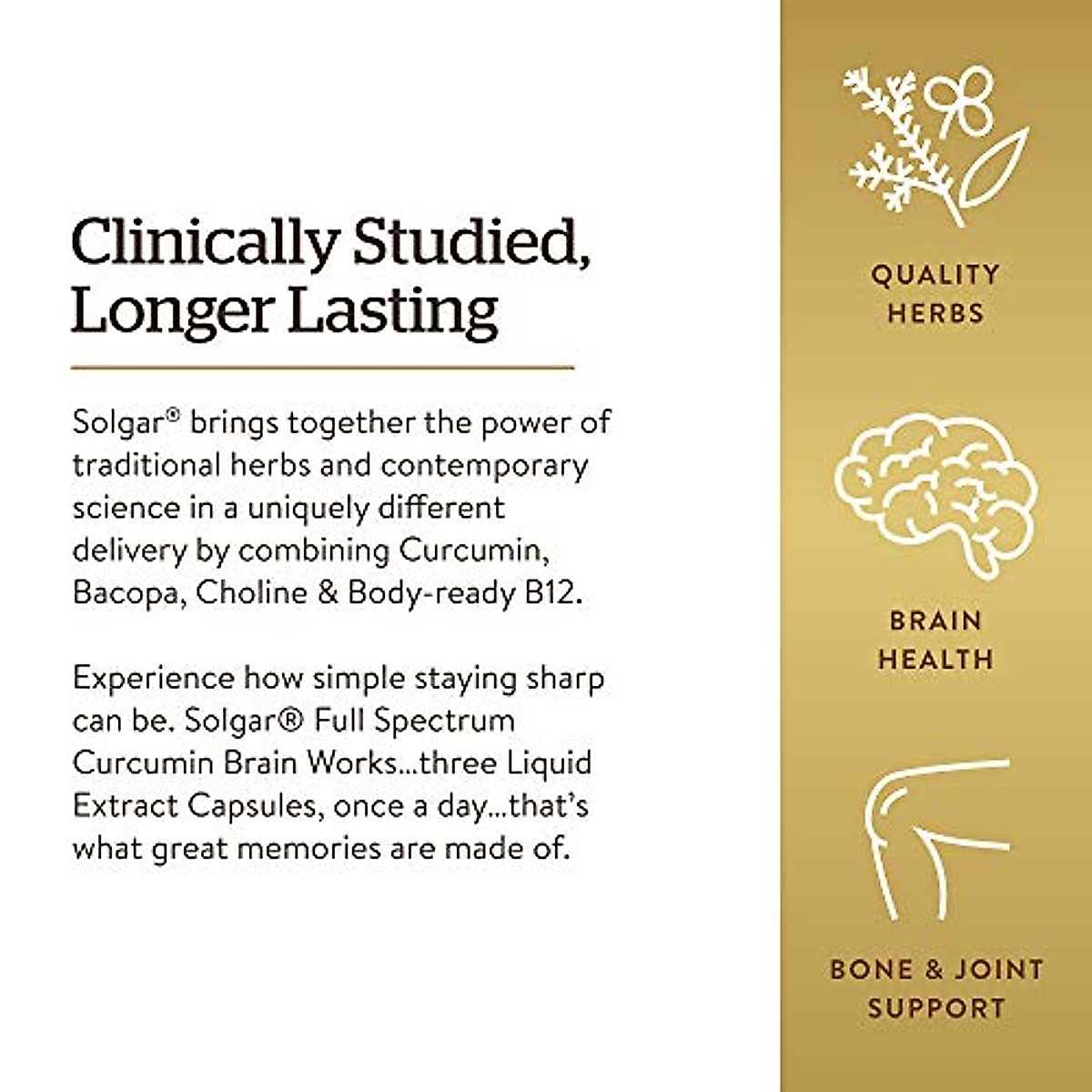 Solgar Full Spectrum Curcumin Brain Works, 90 Licaps - Support Memory Recall, Focus, Cognitive Function - Antioxidant Support - Curcumin, BacoMind, Choline, Vitamin B12 - Non-GMO, Vegan - (Pack of 2)