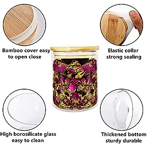 Hoanra 15oz Glass Jars with Airtight Bamboo Lids, Small Food Storage Containers, for Kitchen Pantry Organization Tea Coffee Candy Cookies Nuts（9 Pack）
