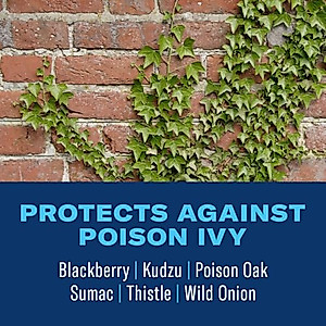 BioAdvanced Brush Killer Plus, Concentrate, 32 oz – Kills Tough Brush Roots & All, Kills Poison Ivy