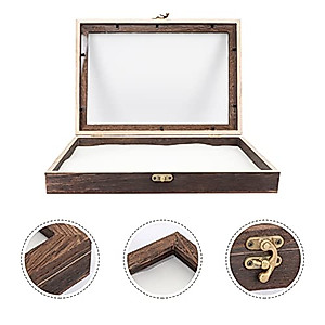 Cabilock Insect Display Case Wooden Bug Collection Box with Clear EVA Top Insect Shadow Box Insect Specimen Storage Box for Home