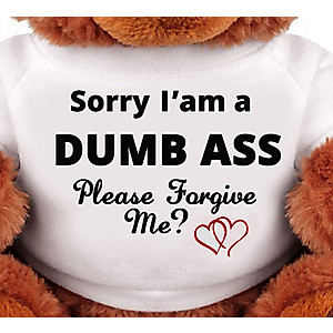 Sorry and Forgive Me Gift: Funny Teddy Bear Couple Gift: Medium Teddy Bear Stuffed Animal