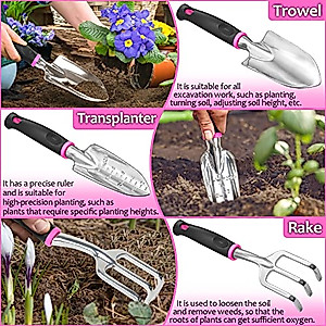 Garden Tool Set，10 Piece Pink Gardening Gifts for Women,with 2 in 1 Detachable Storage Bag, Trowel, Transplanter, Rake, Weeder, Cultivator, Purning Shears and 3 Additional Protection Tools(LANNIU)
