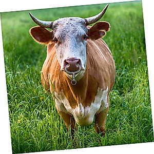 Yardwe 3pcs Spring Loaded Bull Nose Ring Stainless Steel Nose Ring Cattle Pliers Ring Farm Animal Pulling Tool Cow Nose Piercing Traction Nose Rings Cattle Traction Ring Livestock Supply