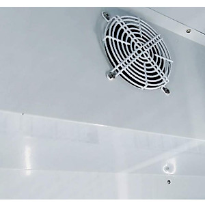 Commercial Grade Merchandiser Freezer | Black Coated Steel Cabinet | 1 Glass Door | Fog Resistant Glass | 23 Cu. Ft. | 4 Adjustable Shelves | 31.2” x 33.25” x 85.625” | R-290 Natural Refrigerant