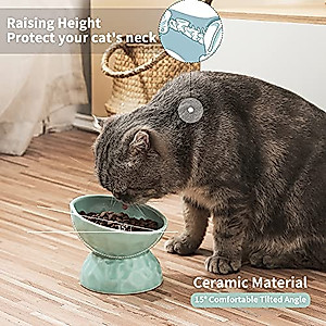 Ceramic Raised Cat Bowls, Tilted Elevated Cat Food and Water Bowls Set, Porcelain Stress Free Pet Feeder Bowl Dish for Cats and Small Dogs, Dishwasher and Microwave Safe, White & Green, Set of 2