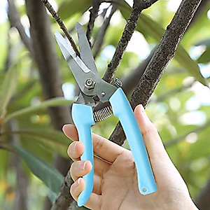 Sunnyac Garden Pruning Shears Scissors, 2 Pack Gardening Tools Hand Pruners, Floral Secateurs, Tree Trimmer, Clippers for Cutting Flowers and Plants, Trimming Branches, Bonsai, Fruits Picking (Color2)
