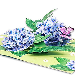 Liif Hydrangea Blossoms Butterfly 3D Greeting Pop Up Mother's Day Card, Spring, Summer, Anniversary, Fathers Day, Get Well, Thinking Of You, All Occasion, Happy Birthday Cards For Mom, Women, Her | With Message Note & Envelop | Large Size 8 x 6 Inch