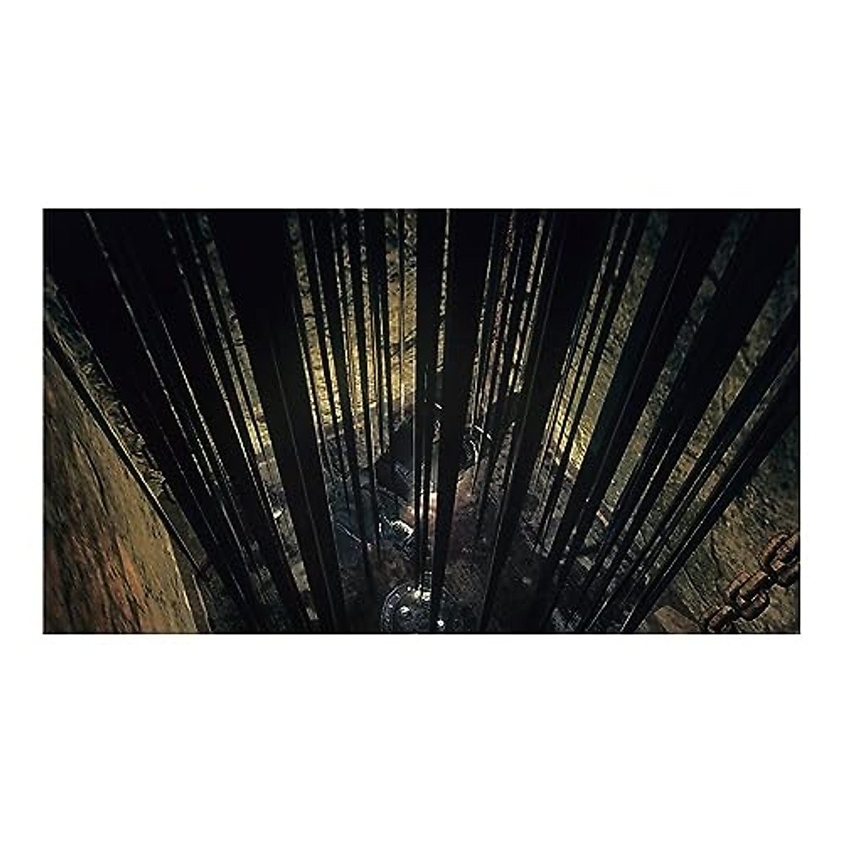 Dark Souls Trilogy (PS4)