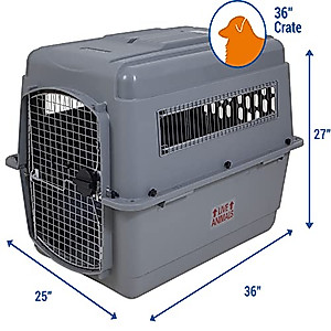 Petmate Sky Kennel Pet Carrier, 36 Inch