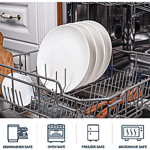 DELLING Dinner Plates Set of 6, 10 inch Ceramic Plates - Microwave, Oven, and Dishwasher Safe, Scratch Resistant - Modern Dinnerware Dish Set for Kitchen Serving - White