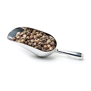 Moringa Seeds Wingless 1 lb. Wide Mouth JAR - PKM1 Variety - Edible Snacking - Planting - Moringa Oleifera - Malunggay - Semillas De Moringa - Drumstick Tree - Non-GMO - 1600 to 2000 Seeds