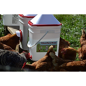 RentACoop 5 Gallon Chicken BPA-Free Plastic Bucket Waterer Set with 4 Horizontal Nipples - Corner Placement