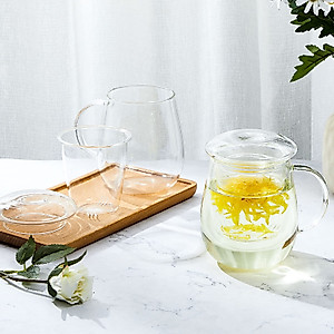 Rtteri Set of 2 Glass Tea Cup with Infuser and Lid 17.6 oz Clear Glass Mugs Thickened Glass Tea Infuser Cup Simple Filtration Teacups for Tea Bag Loose Leaf Tea Blooming Tea