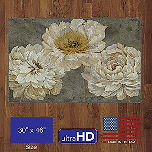Brumlow Mills Pearl Grey Floral Study by Pamela Gladding Decorative Rug for Kitchen, Entryway Rug, Living Room or Bedroom Carpet, 2'6" x 3'10"