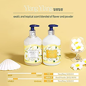 Bouquet Garni Shampoo Ylang Ylang - Long Lasting Fragrance Dry Hair Moisturizing - Scalp Moisturizer and Cleansing with Natural Surfactant - Nutritious Amino, Protein, Natural Oil - 16.9 Fl Oz