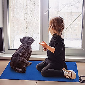 clawsable Super Large Size Pet Heating Pad Electric Heating Pad for Dogs, Waterproof Dog Cat Heating Pad, Adjustable Warming Mat with 6 Temperature & 4 Timers Set Auto Off Anti-Chew Cord (XL-48"x28")