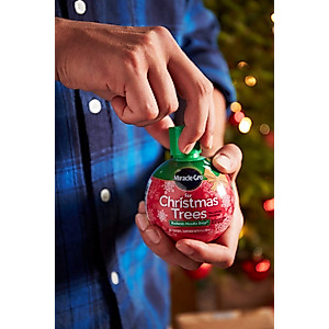 Miracle-Gro for Christmas Tree Plant Food, Hydrates Trees and Keeps Christmas Trees Green All Holiday Season, 12 Pack
