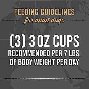 Tiki Dog Taste of The World Whole Food, Vareity Pack of Gourmet International Flavors in Broth, Culinary Inspired High Protein and Moisture Rich Superfoods Wet Dog Food, 3 Oz Cups, Case of 10