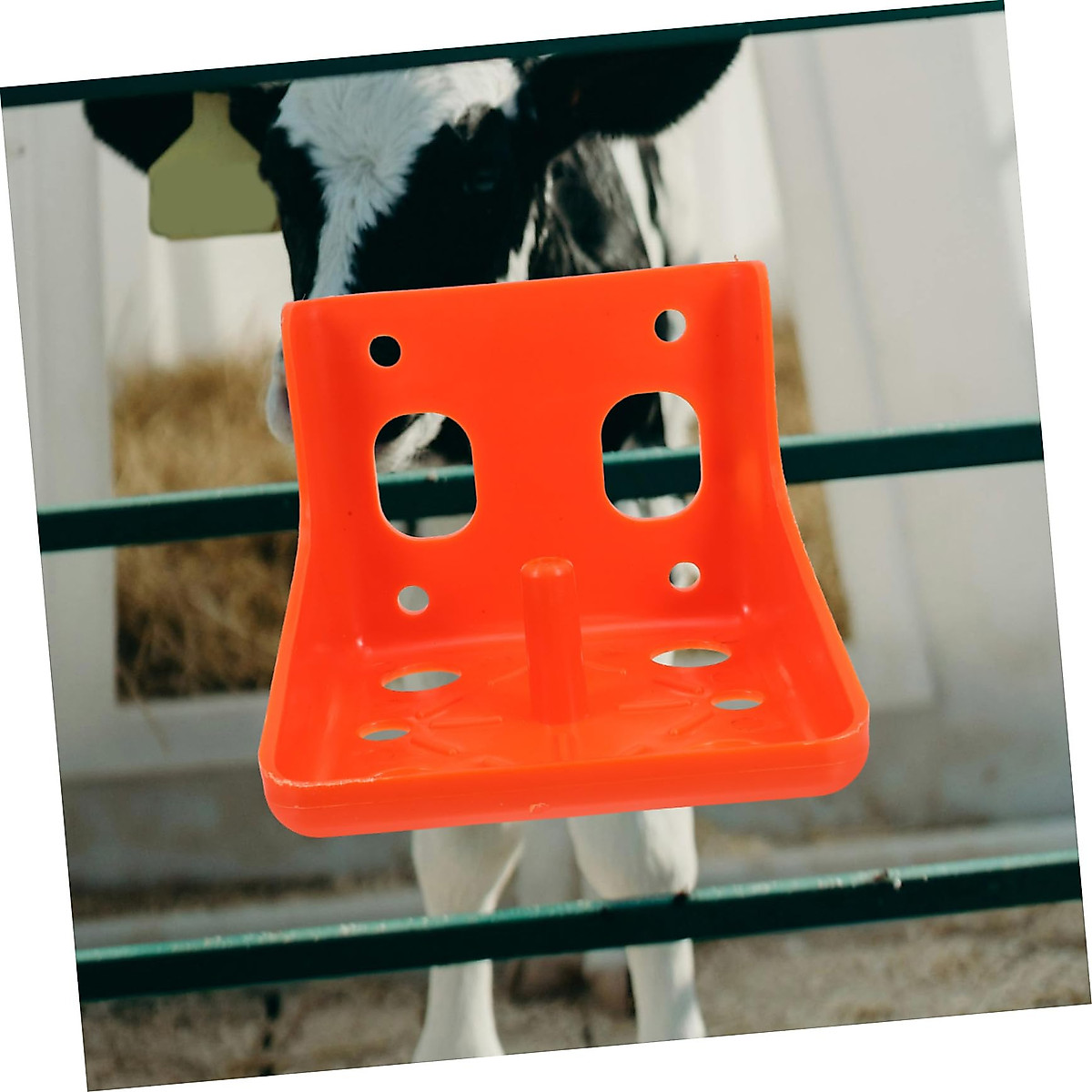 POPETPOP 2pcs Tray Fodder Trays Pig Feeding Bowl Feeding Bucket for Horses Mineral Block Holder Cattle Block Holder Sheep Salt Lick Box Thickened Livestock Feeder Appendix Orange Animal