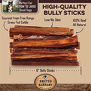 Bully Sticks For Dogs, Low Odor, All Natural Dog Treat - Long Lasting Beef Rawhide Alternative, Bully Stick Chew Sticks Best For Aggressive Chewers, Small, Medium, Large Dogs, Or Teething Puppies