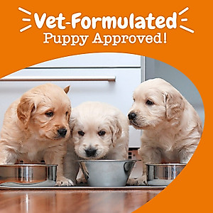 Zesty Paws Puppy Milk Replacer + Colostrum - Milk Replacement Supplement Powder for Puppies & Senior Dogs - Omega 3 DHA, Prebiotics & Probiotics for Dogs - for Skin, Coat, Heart & Gut Health - 12 oz…