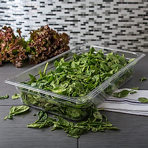 Carlisle FoodService Products StorPlus Plastic Full-Size Food Pan, 4 Deep Food Storage Container with 11 Quart Capacity, Polycarbonate, Full Size, Clear