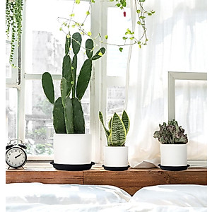 SAUCERHOME 5 Packs Plant Saucer 6 8 10 12 14 16 19 22 26 Inch Plastic Pot Tray Flower Planter Saucers and Drip Trays for Indoors Outdoors, Thick Heavy Sturdy Plant Plate Water Catcher (6 Inch Black)