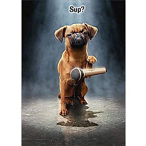 Dog Mic Drop - Avanti Funny/Humorous Pug Birthday Card