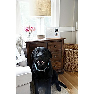 Ultimate Dog or Cat Pet Pawprint Keepsake Kit & Picture Frame - Premium Wooden Photo Frame, Clay Mold for Paw Print & Bonus Stencil. Makes a Personalized Gift for Pet Lovers and Memorials (White)