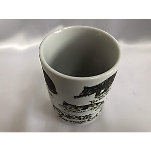Cosmo Craft Japanese Teacup ”Japanese Cat” Yunomi