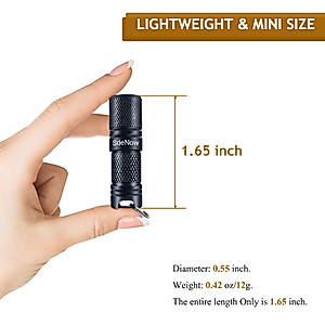 SdeNow Mini Flashlight Keychain with Micro USB Rechargeable Tiny Flashlight Brightness can Achieve up to 200 lumens for EDC Torch