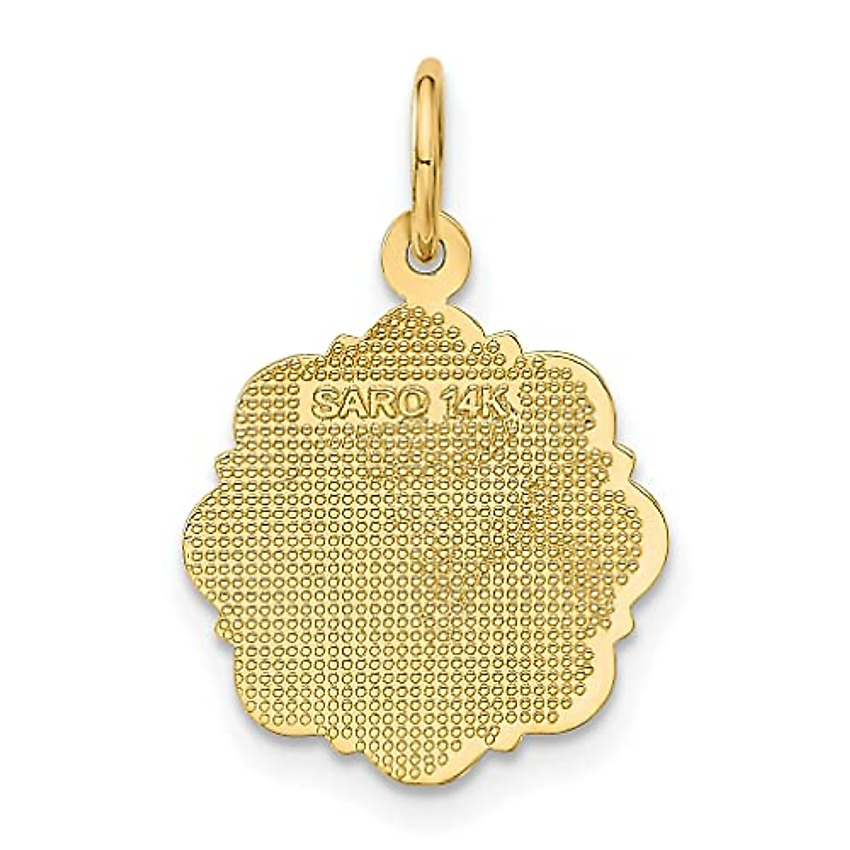 IceCarats 14K Yellow Gold Registered Nurse Caduceus Paramedic Rn Doctor Medical Student Nursing Symbol Necklace Charm Pendant 20mm x 12mm Only