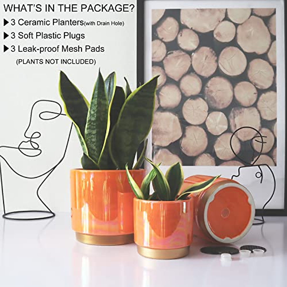 Gepege Ceramic Indoor Pots for Plants, Rainbow Pearl Glaze Planter with Drainage Hole, 6.0 inch+5.0 Inch+4.0 Inch. Orchid Flower Pots