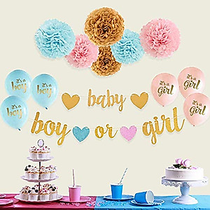 Aonor Gender Reveal Party Decorations - Glitter Letters Baby and BOY OR Girl with Hearts Banner, Tissue Paper Pom Poms Set for Baby Shower Party Decorations