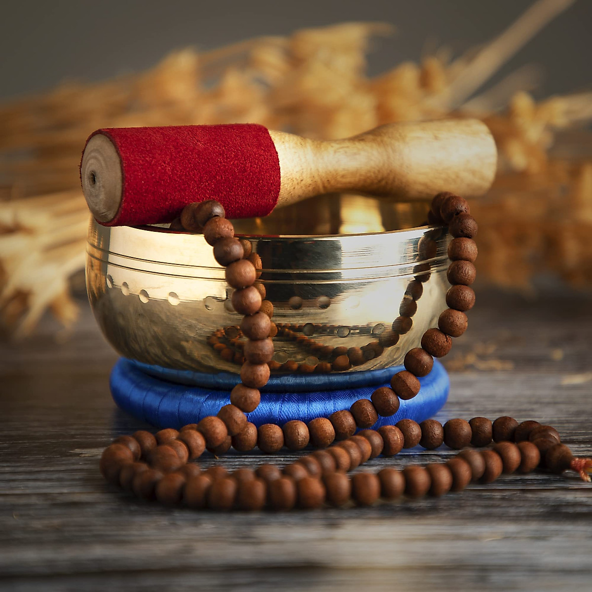 Telsha Meditative Brass Polished Singing Bowl with Mallet and Cushion - Tibetan Sound Bowls for Energy Healing, Mindfulness, Grounding, Zen, Meditation Exquisite, Unique Home Decor Gift Sets, 12