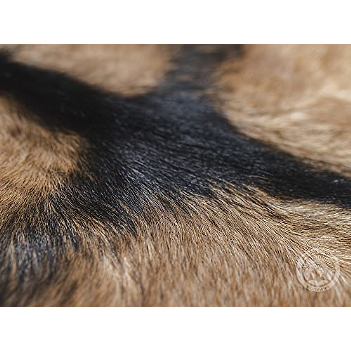 Sunshine Cowhides Genuine Goatskin Rug Goat Skin Goat Hide Goat Skin Rug Exotic 2 x 3 ft.