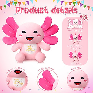 HyDren 10 Inch Happy Plushy Birthday Plush Pink Axolotl Plush Soft Cute Stuffed Animal Plush Pillow Kawaii Birthday Gifts for Kids Girls Party Favor Bedroom Home Decor