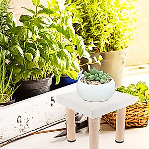 Yardwe 1pc Solid Wood Small Flower Stand Wooden Flower Shelf Garden Plant Pot Riser Succulent Planter Holder Cat Outdoor Planter Stand Bonsai Holder Heavy Office Small Plant Stand White