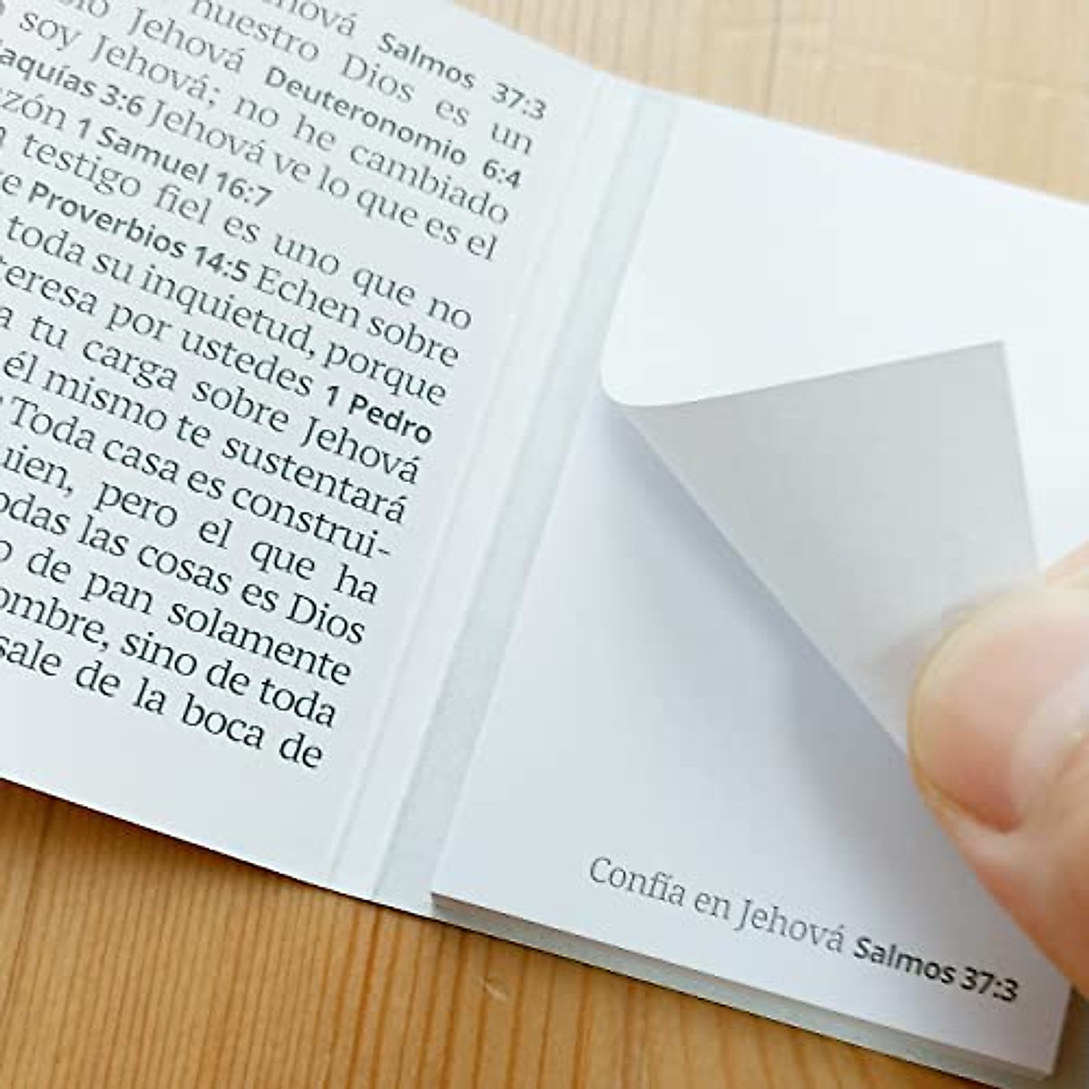 Vongsado Spanish 24 Pads Testigos de Jehova Regalos Accesorios | Jehovah Witness Bible Sticky Notes Accessories Gifts for JW Jehovah's Witnesses JW.org Biblia Pioneer Convention Women Men (ES24)