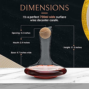 Le Portteus Wine Decanter With Stopper And Cleaning Beads, Hand Blown Glass, Crystal Decanter Wine Carafe And Aerator, Perfect Wine Gifts For Wine Lovers And Newlyweds