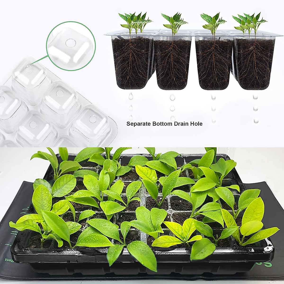 CANNABMALL 2 Packs Seed Starter Tray with Grow Light Samsung LM281B Diodes, Dimmable Seedling Starter Trays, 96 Cells Germination Trays Kit with Humidity Dome for Indoor Gardening Plant Black