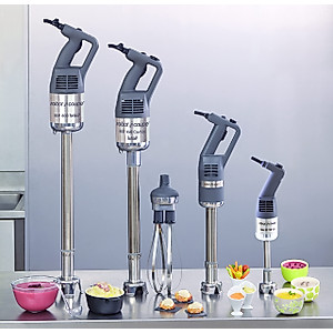 Robot Coupe MMP 190 VV Immersion Blender, 8", Gray