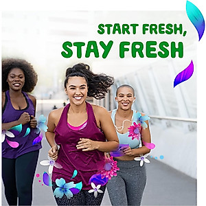 Gain + Odor Defense Dryer Sheets, Super Fresh Blast Scent Fabric Softener Sheets, 240 ct